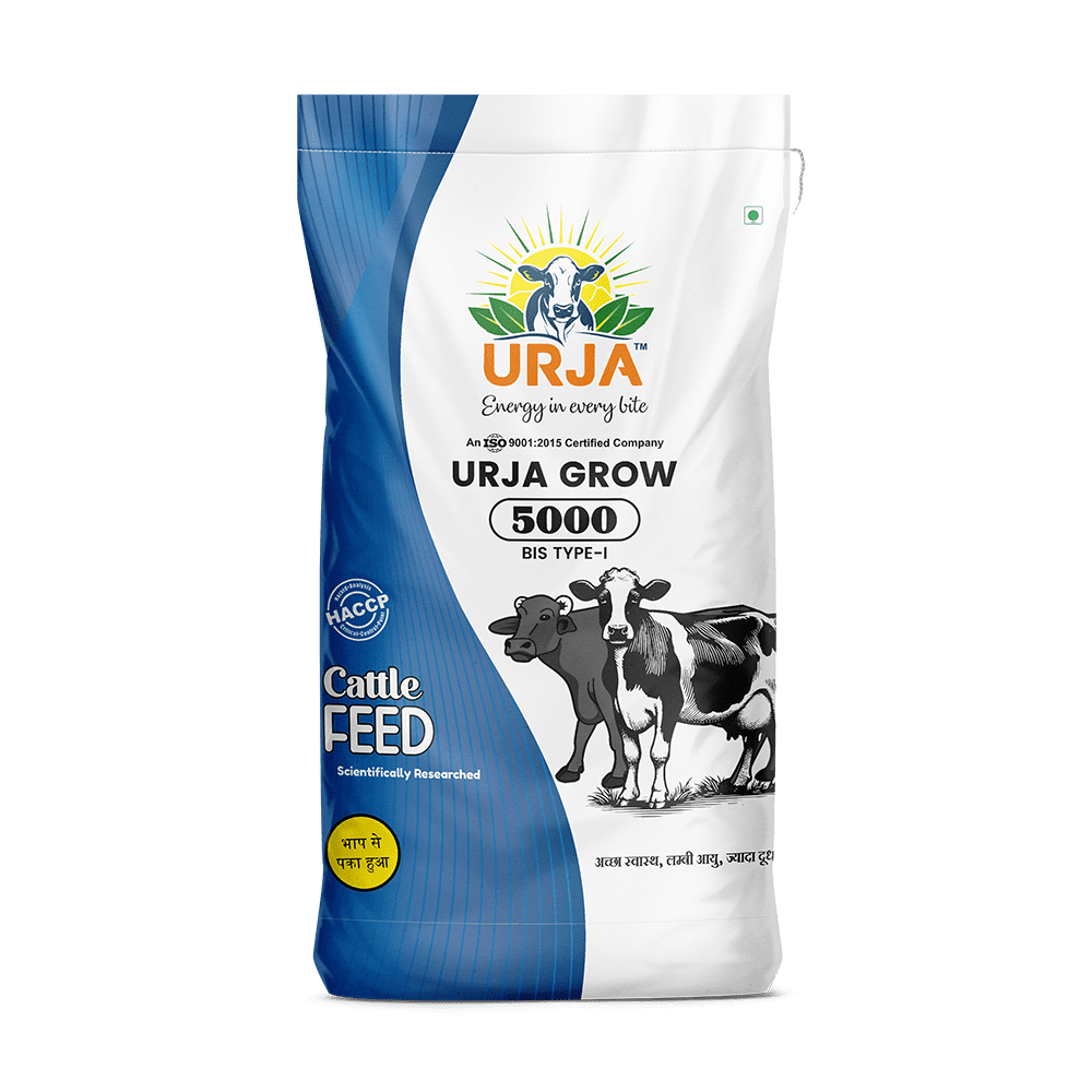 Urja Cattle Feed - Scientifically Researched Cattle Feed from Eva Group ...